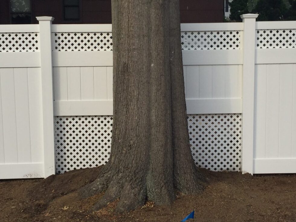 Lattice Top PVC Installed Around a Tree - Add A Link Fence Company